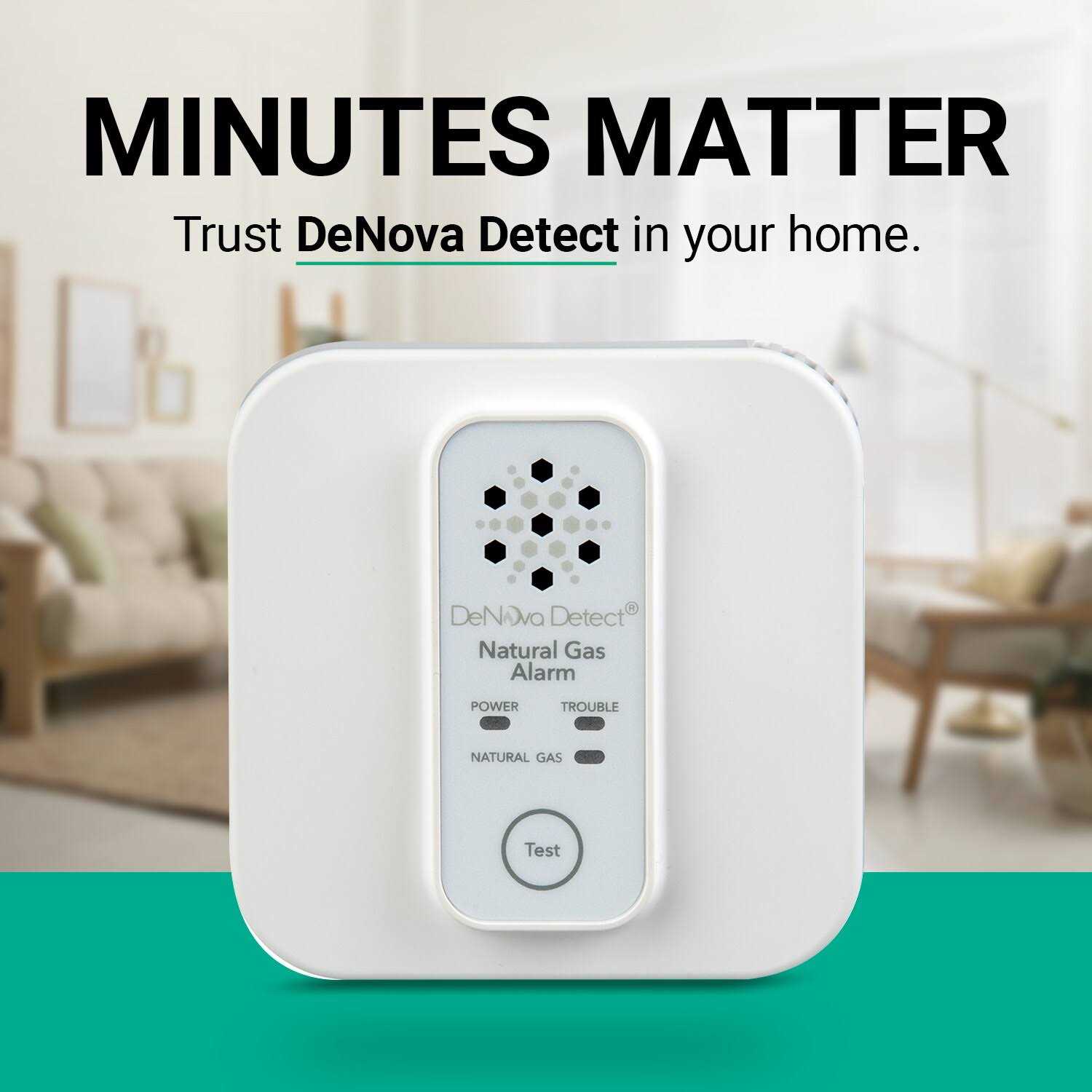 DeNova Detect Natural Gas Alarm 10-Year Battery-operated Natural Gas ...