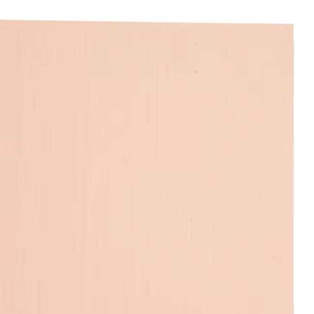 RevolutionPly 5mm x 4-ft x 8-ft Poplar Sanded Plywood - Hardware&Tools ...