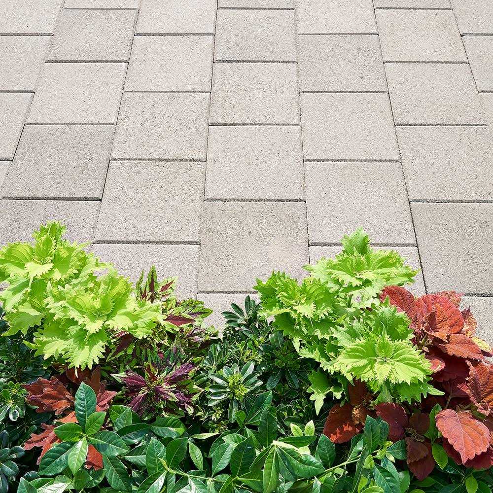 Pavestone Square Concrete Step Stone - Hardware&Tools Online Store